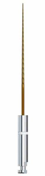 EndoStar EP Easy Path (Pack of 06 pcs) – Made in Poland – Fig Dent